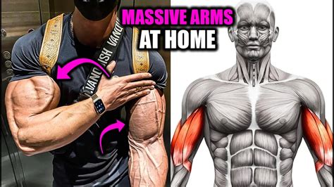 Massive Arms Workout At Home ️ 8 Exercises Youtube