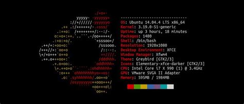how to display system information with neofetch on linux