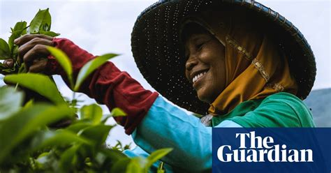 instagram snapshots tom lenham on java indonesia travel the guardian