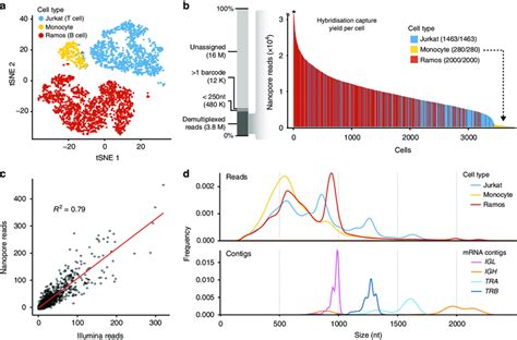 Short Read And Targeted Long Read Single Cell Sequencing Of