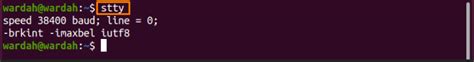 how to use linux stty command