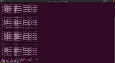 how to execute an elf file systran box