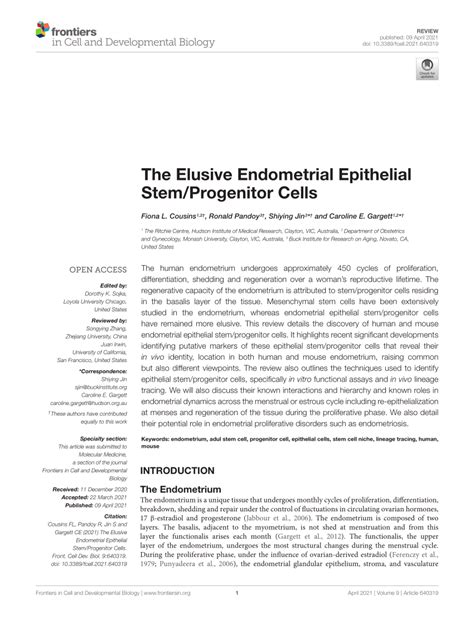 Pdf The Elusive Endometrial Epithelial Stem Progenitor Cells