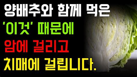 양배추와 절대로 같이 먹지마세요 암과 치매에 걸릴 수 있습니다 양배추와 함께 먹으면 보약보다 좋은 3가지 방법과 최악의