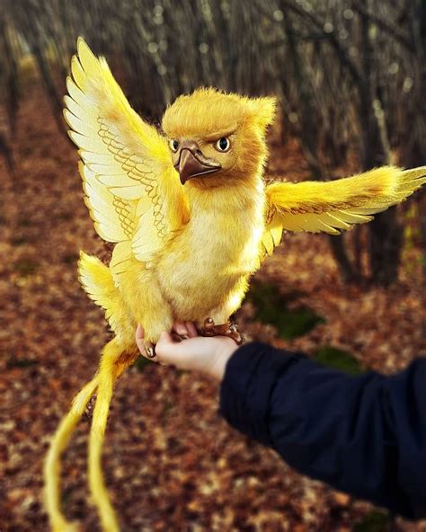 thunderbird is finally over it was made to order😊 his six wings