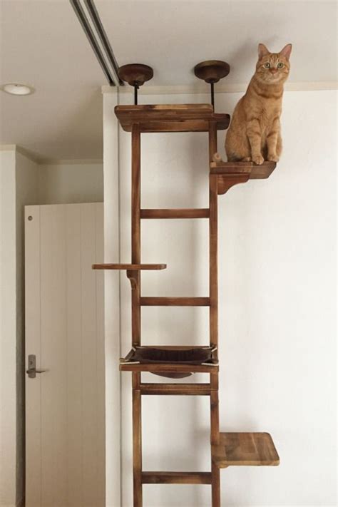 Fantastic Easy Diy Cat Tree Open Shelf Wall Cabinet