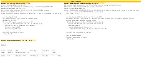 nexus 9300에서 layer3 evpn over segment routing mpls [ospf ibgp] 구축 cisco