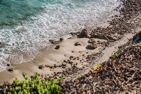 Free Images Beach Sea Coast Water Nature Grass Sand Rock