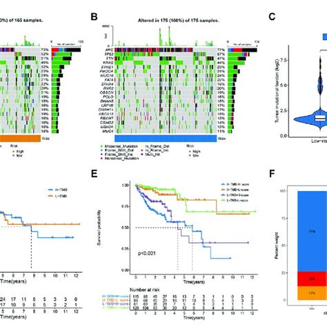 Correlations Of Risk Score With Tmb And Msi In Crc A B The Mutation