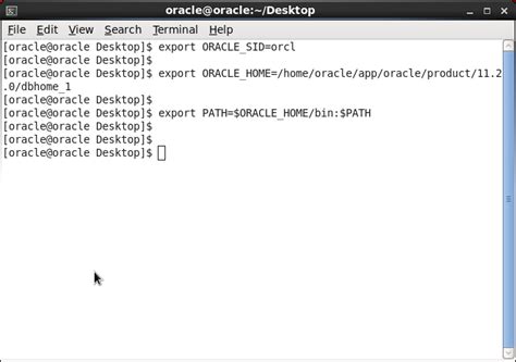 start oracle service in linux 6 ~ datawarehouse architect
