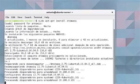 Instalación De Un Servidor Dns Con Dnsmasq