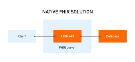 what is the future of healthcare data management and fhir apis