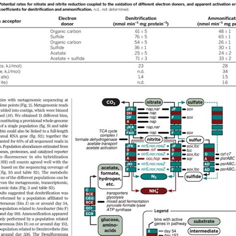 Schematic Overview Of Metabolic Interactions Based On Metagenomic