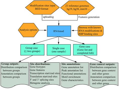 Rnamod – An Integrated System For The Annotation Of Mrna Modifications