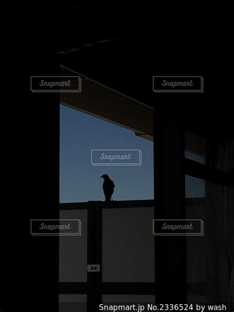 窓の前に立っている男の写真・画像素材[2336524] Snapmart（スナップマート）