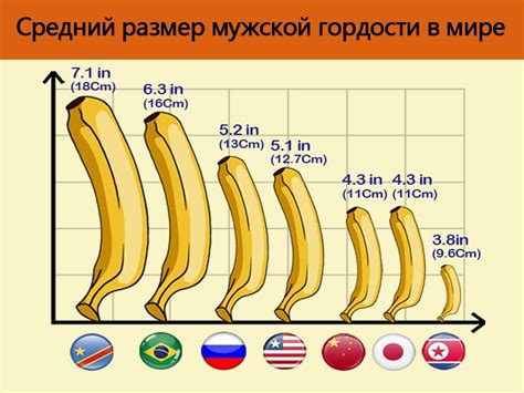 Как узнать что у мужчины большое достоинство
