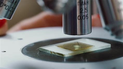 sample under microscope stock video motion array