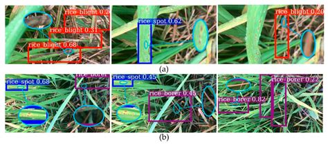 sensors free full text a recognition method for rice plant diseases