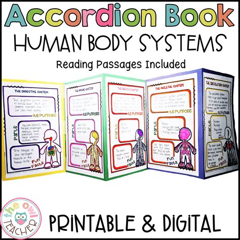 Human Body Systems Activity Foldable Booklet Printable And Digital