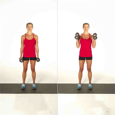 Dumbbell Hammer Curls Biceps