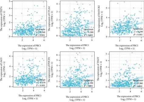 Correlation Of Prc1 Expression With Immune Checkpoint Molecules A