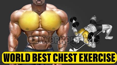 6 Perfect Chest Exercises For A Bigger Chest Youtube