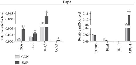 Smf Promoted Macrophage Migration And Polarization Towards M2 In