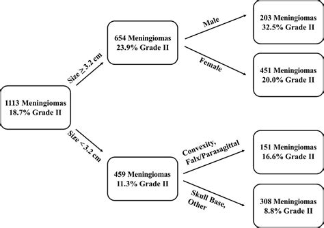 relationship between tumor location size and who grade in meningioma