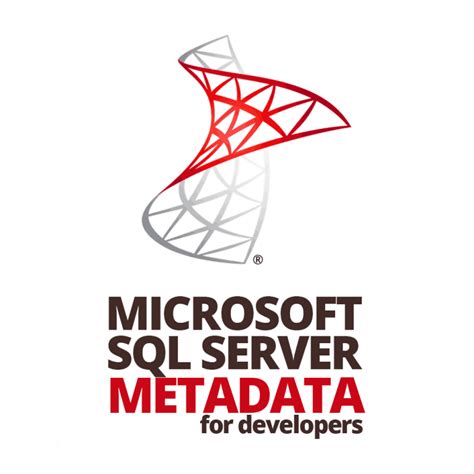microsoft sql server metadata for developers simple