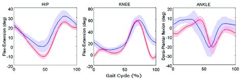 Angular Kinematic Patterns Of The Lower Limb Joints Hip Knee And