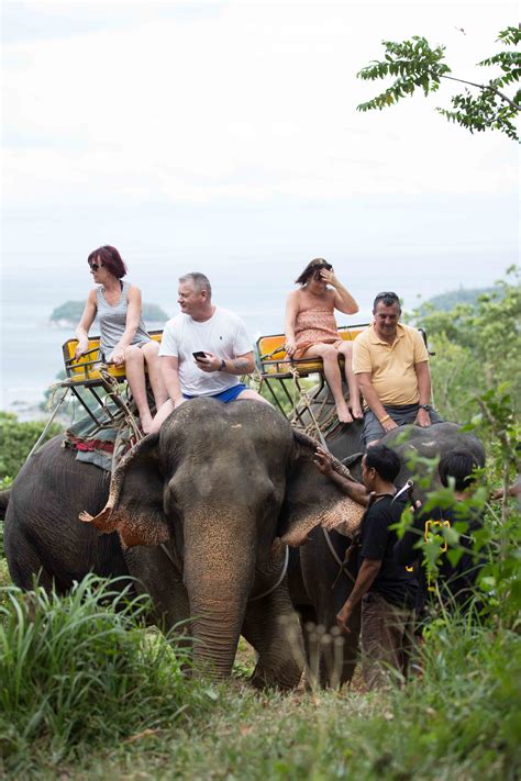 Phuket Elephant Trekking In Phuket Thailand By