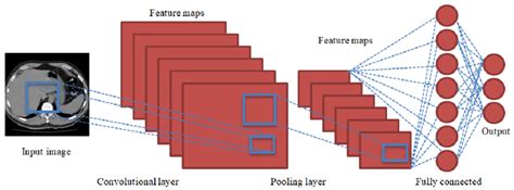 basic architecture of a cnn showing its convolutional pooling fully