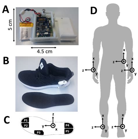 wearable multi sensor gait based daily activity data