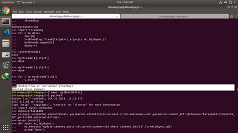 ubuntu error in `python free invalid pointer 0x00007fc3c90dc98e