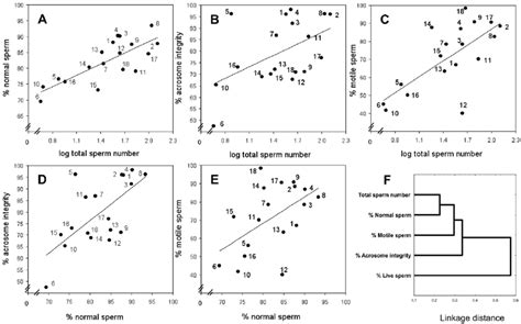Associations Between Sperm Parameters Association Between Total Sperm