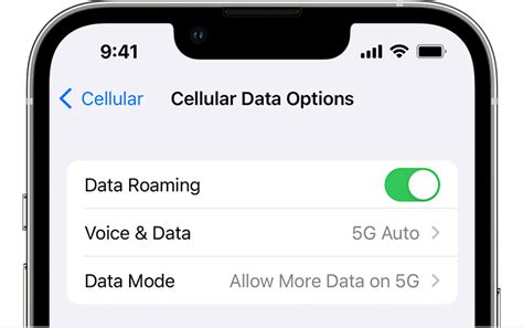 How To Check Your Cellular Data Usage On Iphone And Ipad • Macreports