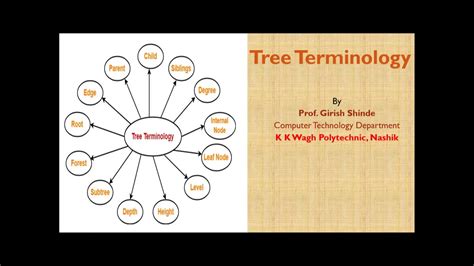 tree terminology in data structures youtube