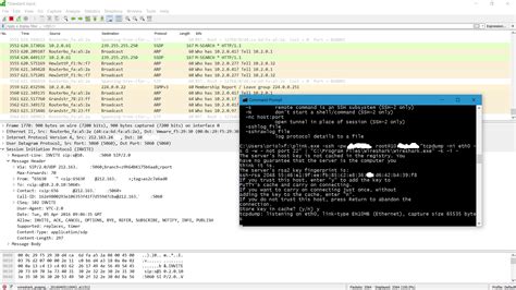 sniffing traffic in a linux box and streaming in real time