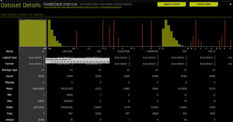 dataset details — using driverless ai 1 8 7 3 documentation