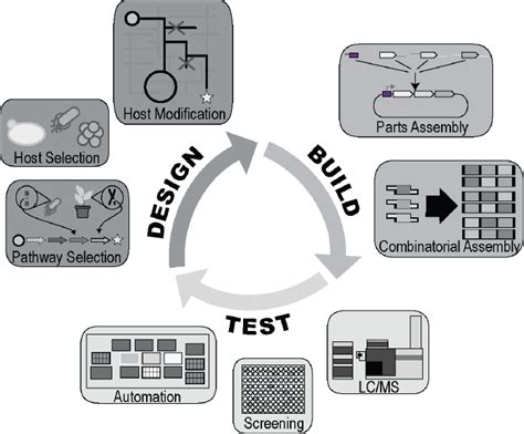 2 Biotechnology In The Age Of Synthetic Biology Biodefense In The Age