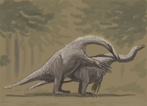 Rule 34 Cloaca Dinosaur Long Neck Maniraptora Non Human Path Of