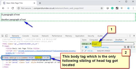 selenium locators using following sibling in css