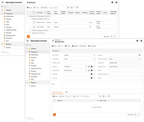 define the data model and set the initial data expressapp framework