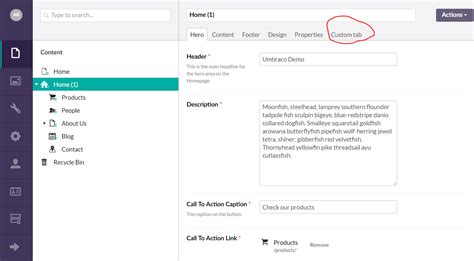 custom tab on content pages developing packages