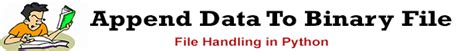 append data to binary file in python programming