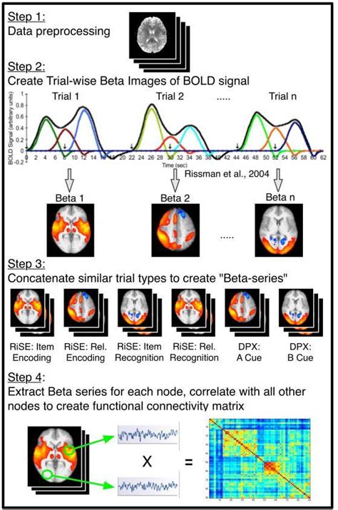 data processing pipeline step 1 standard fmri data preprocessing was