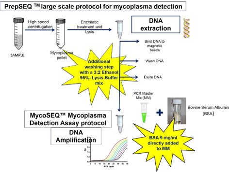 Mycoseqtm Mycoplasma Detection Assay Modified Protocol To Resolve