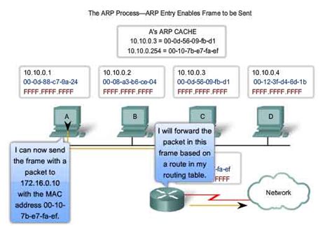 network mac address multiple valleyras