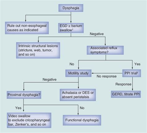 Dysphagia Flow Chart