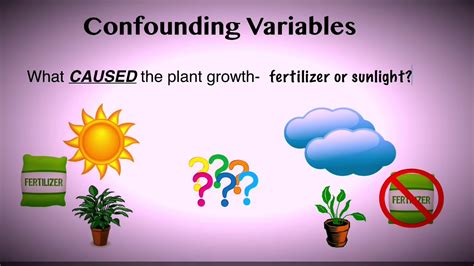 Confounding Variables Youtube